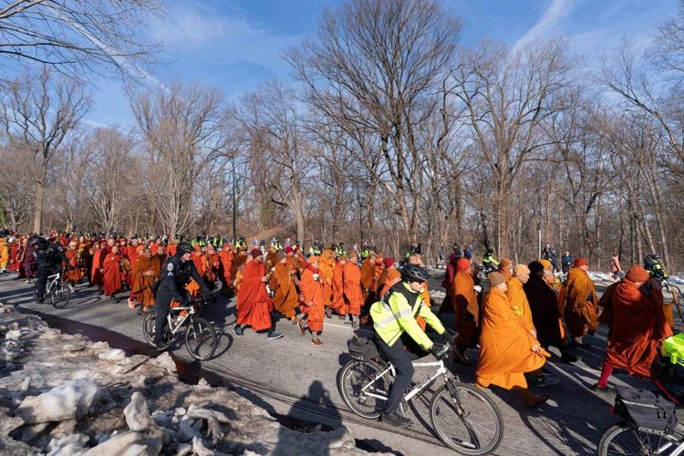 Photos of monks and rescue dog as they finish cross-country peace walk ...