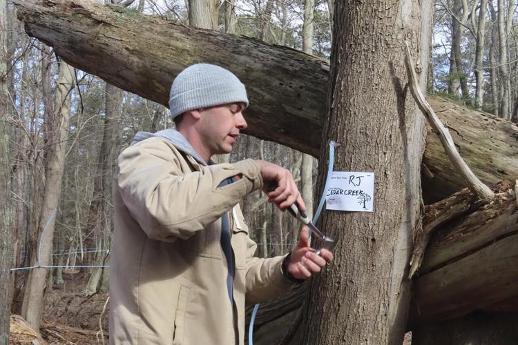 Maple syrup from New Jersey: You got a problem with that?