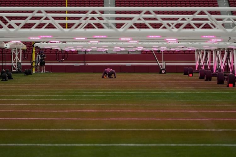 NFL's turf guru has meticulous journey to prepare Levi's Stadium field ...