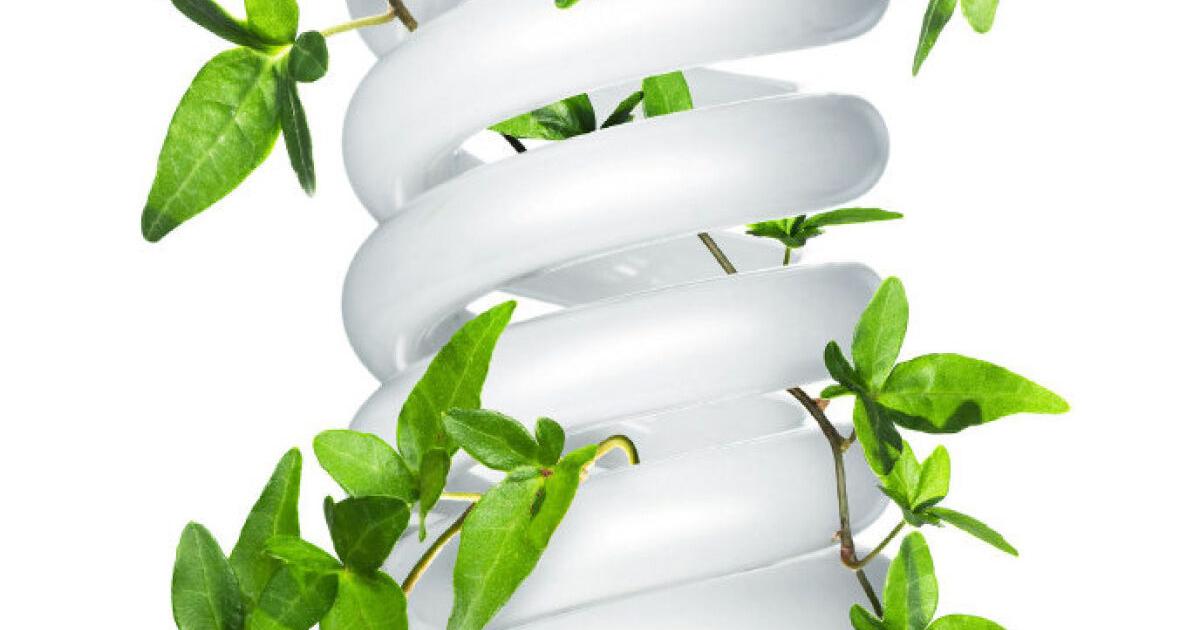 The humble light bulb has never been so confusing