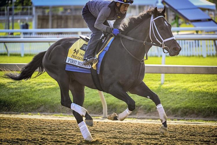 First Mission scratched from Preakness by vet 36 hours before Triple ...