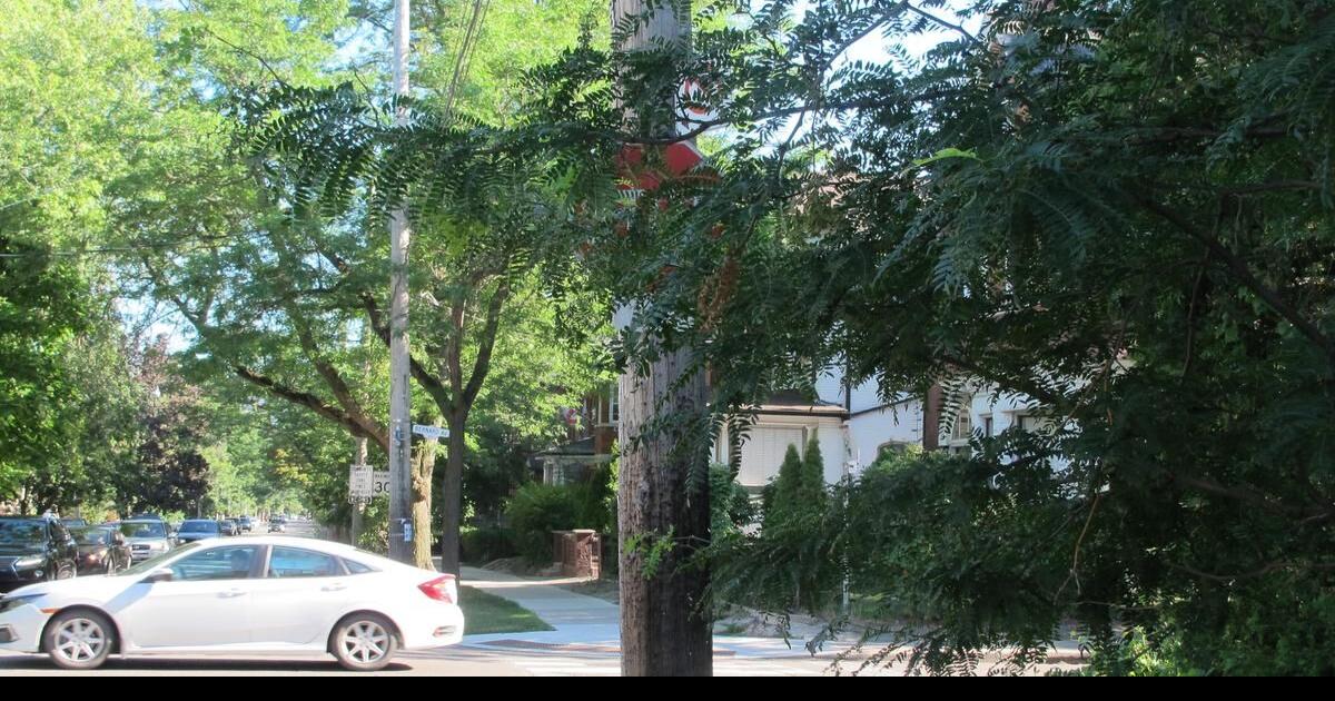 Hidden stop sign leaves drivers blowing through this intersection