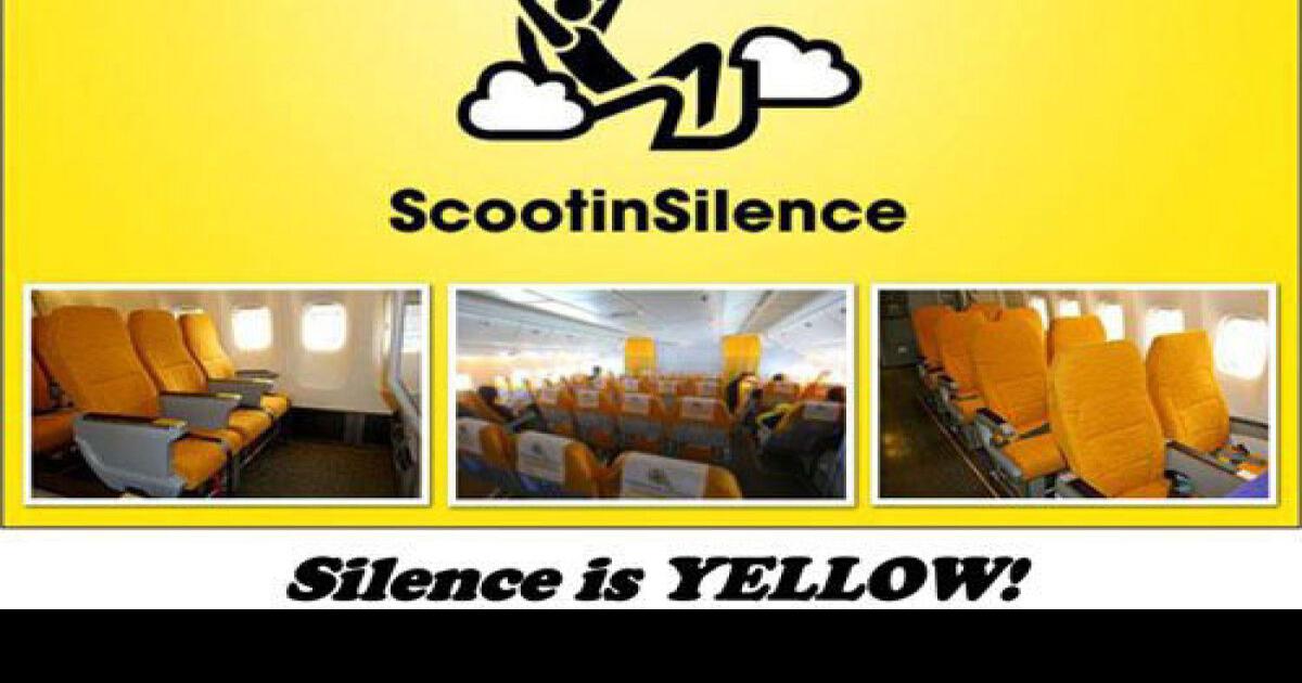 Flying nannies, child-free seats now on airlines