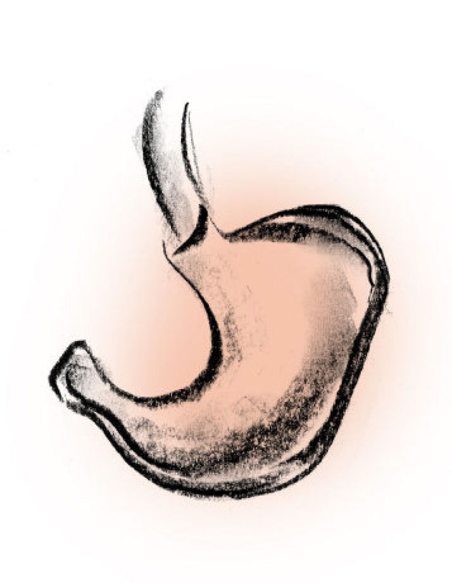 When you blush, the lining of your stomach also turns red.