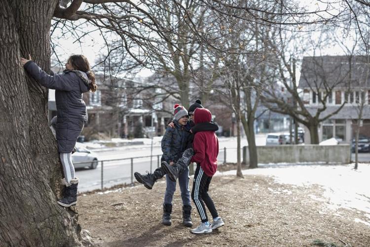 Not even fire could take down ‘Stumpy,’ a historical, cherished ...