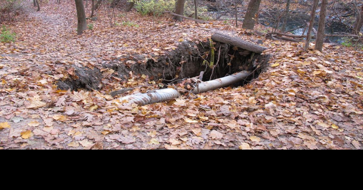 The Fixer: Sinkhole in Moore Park Ravine path growing larger