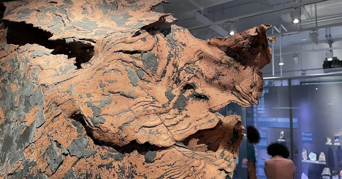 ROM installs germ-destroying copper to keep patrons safe