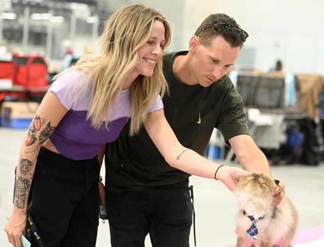 Fancy felines fill Pelham’s Meridian Community Centre at Border ...