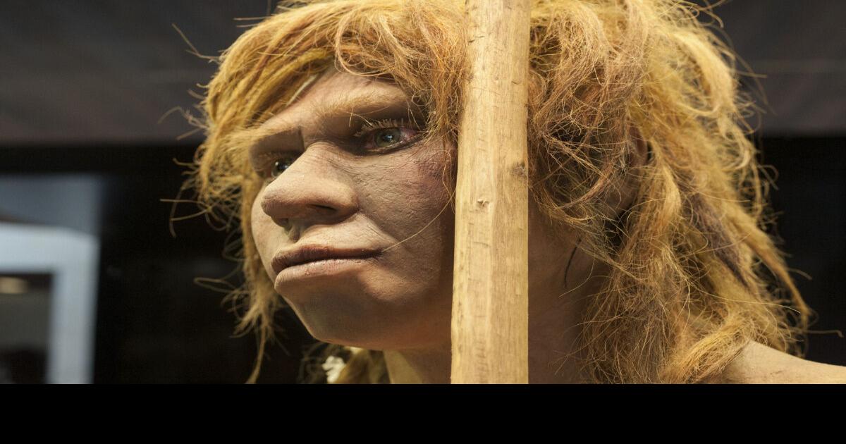 Neanderthal DNA in humans may influence mood, sleep patterns, research ...