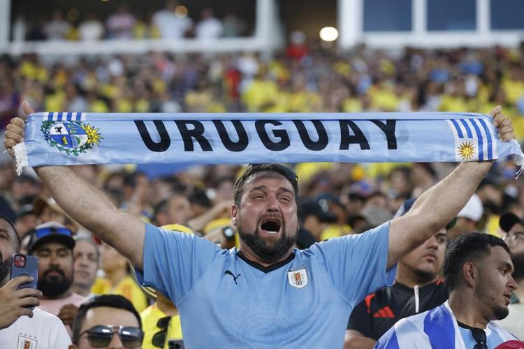 AP PHOTOS: Fans of Copa America Show their spirit- Photo Collection