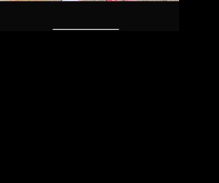 Etobicoke shooting victim identified as Delroy George Parkes