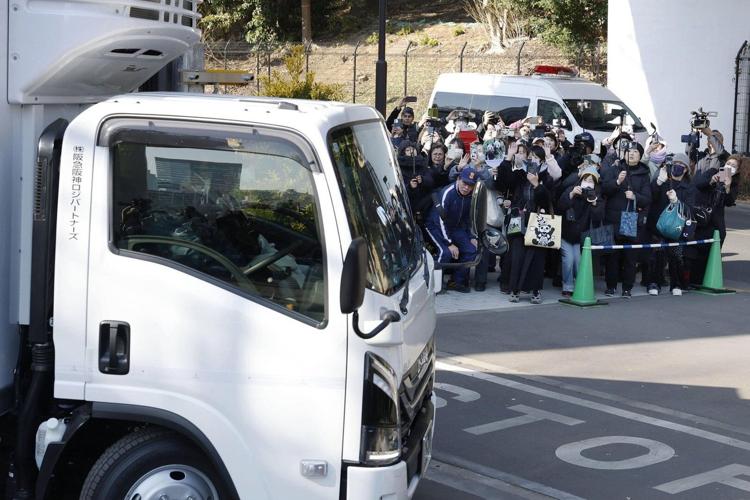 Japan's last pair of pandas have arrived back in China