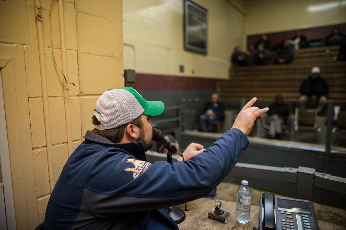 This 24-year-old is one of Canada’s youngest livestock auctioneering ...