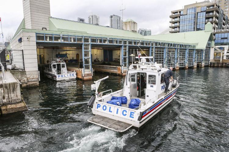 Toronto police marine unit still battling barn swallows