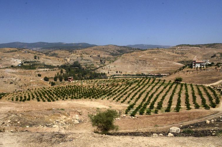 In Jordan, rare landmine success