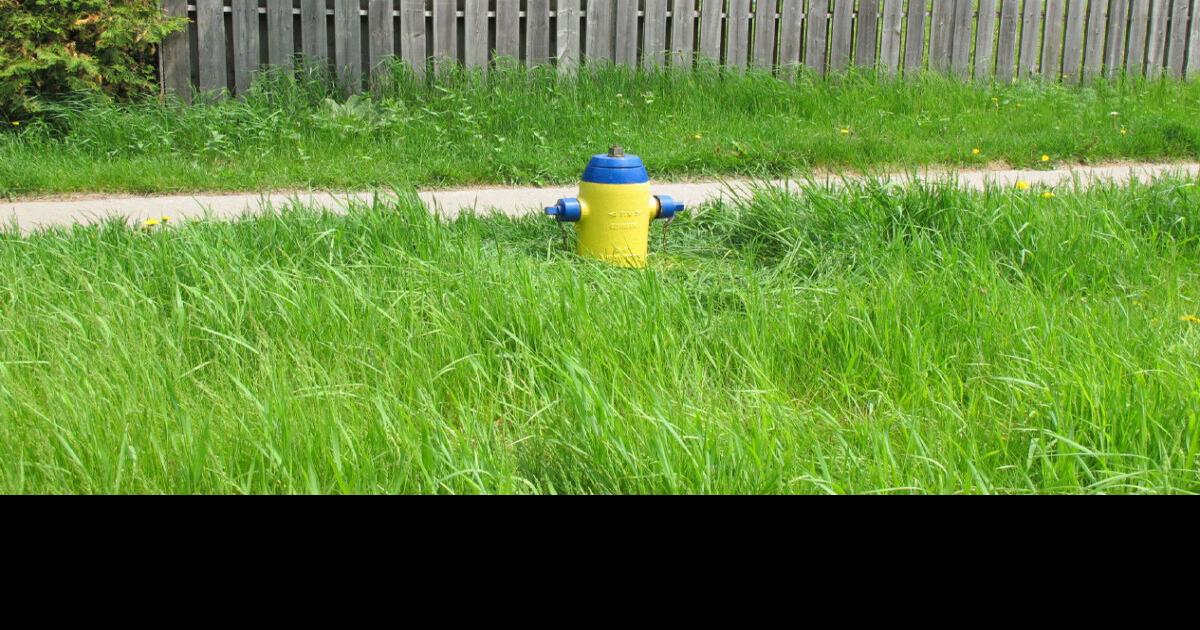 Hedge clippers make short work of long grass hiding fire hydrant: The Fixer