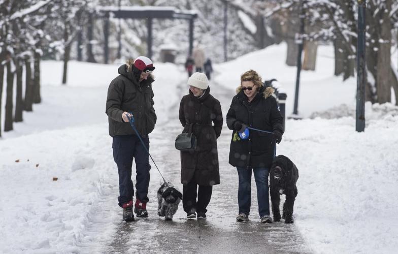 ‘The Woman Who Loves Giraffes’ Anne Dagg to launch foundation dedicated ...