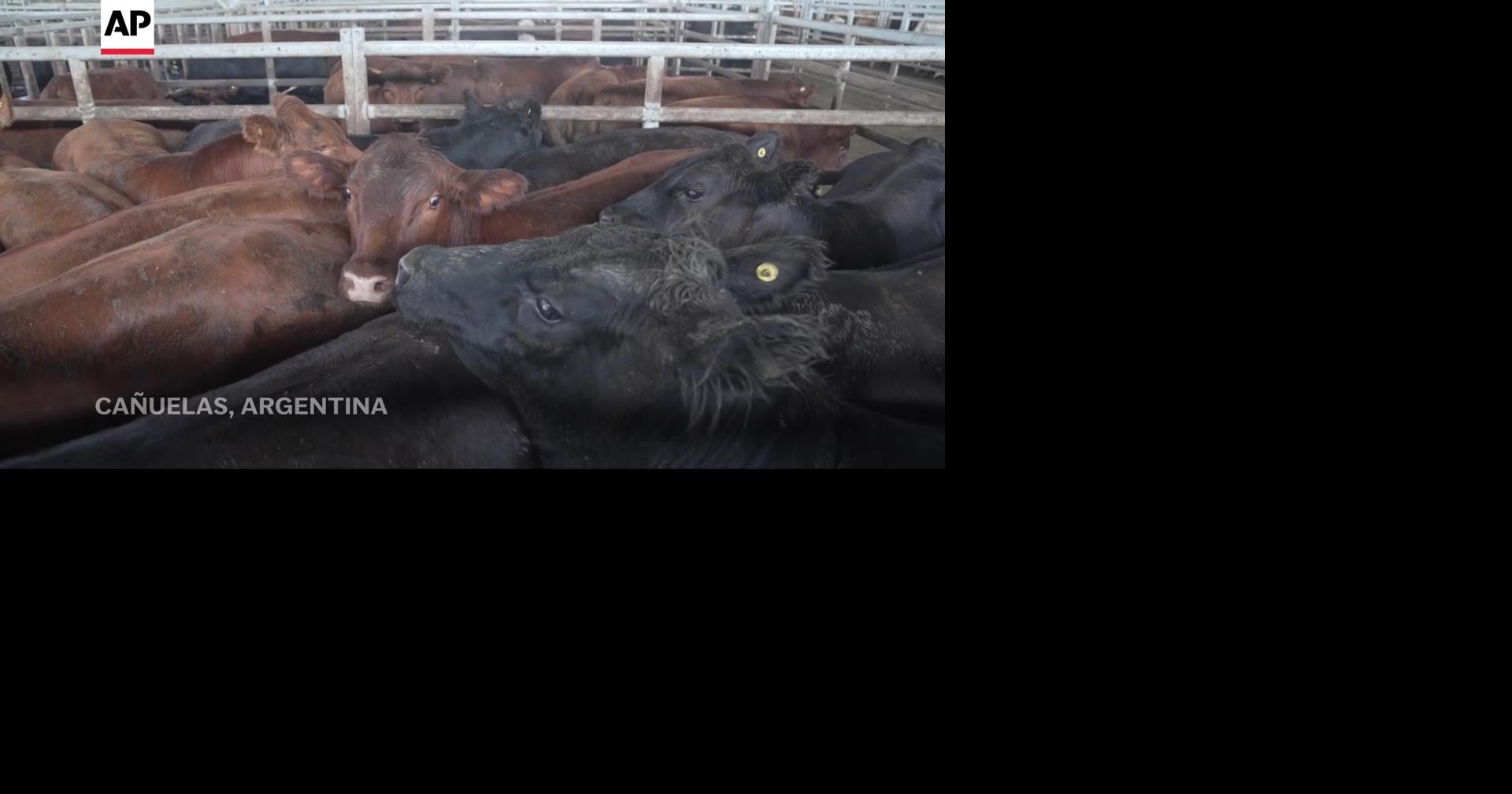 Brazil’s Lula hails historic EU-Mercosur deal ahead of no-show at its ...