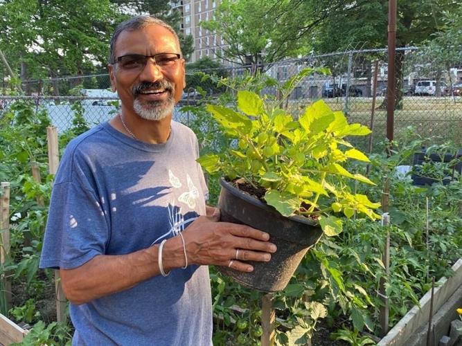 Here’s how three new gardeners are growing their own groceries