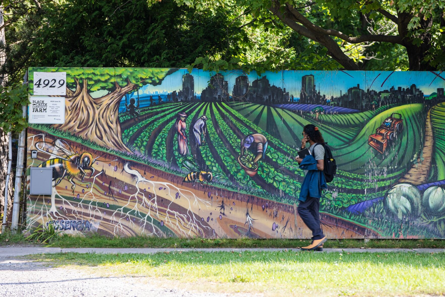 This Toronto’s urban farm’s next step? A new cooking hub