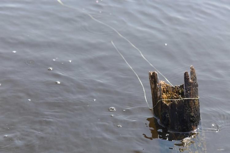 Contaminated water, poor health care and high cancer rates have plagued ...