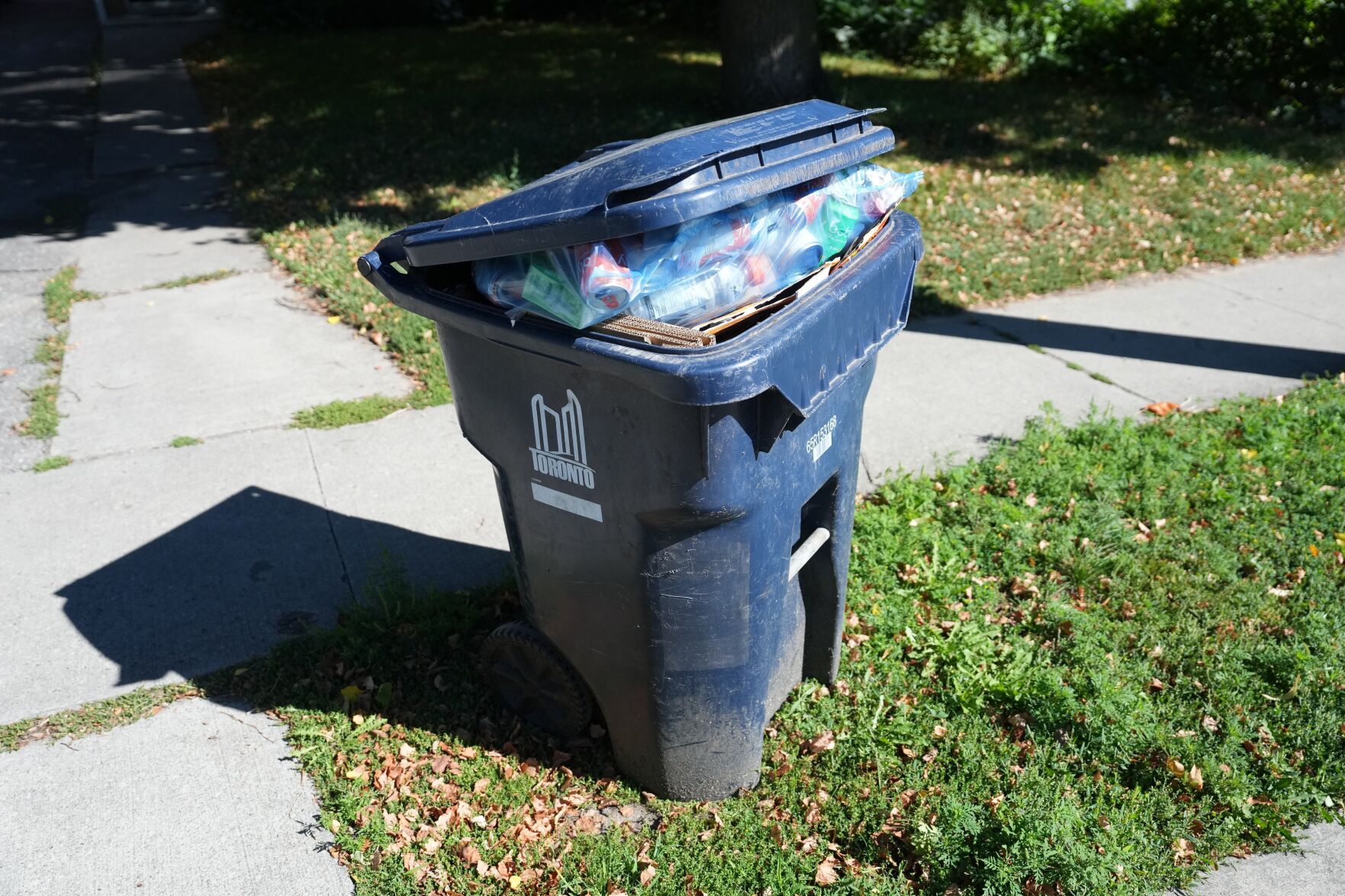 Ontario’s new blue bin system: Why not follow B.C.‘s lead?