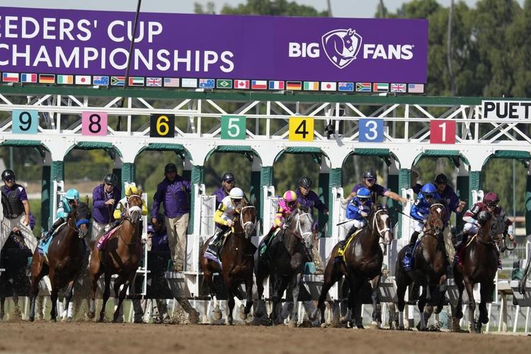 White Abarrio wins $6M Breeders' Cup Classic, trainer Rick Dutrow back ...