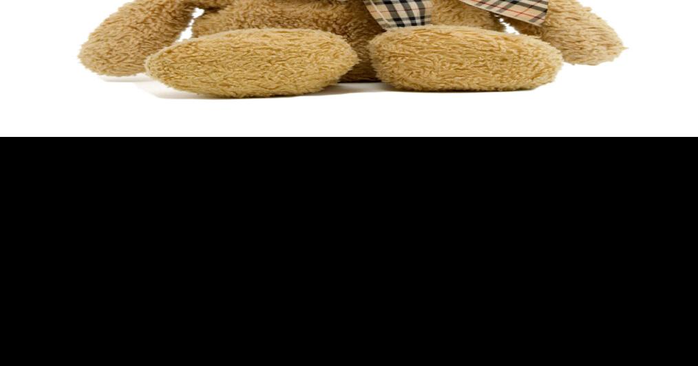 Teddy bears need a seat in the boardroom