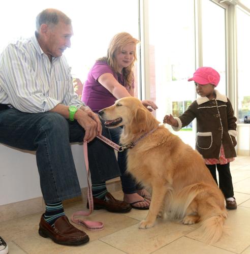 Meet McDonald’s Canada founder George Cohon’s therapy dogs, Tilly and Simmy