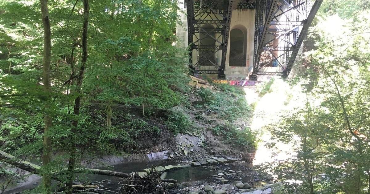 Toronto’s ravines provide an ideal place to escape the summer heat