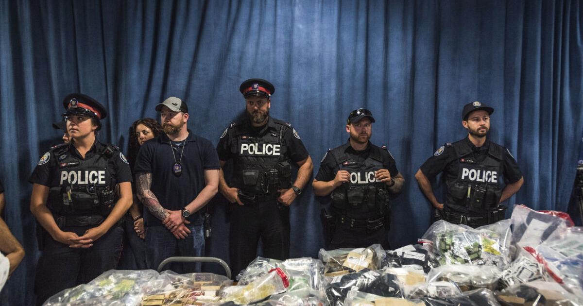 Police task force calls for hiring freeze, division mergers