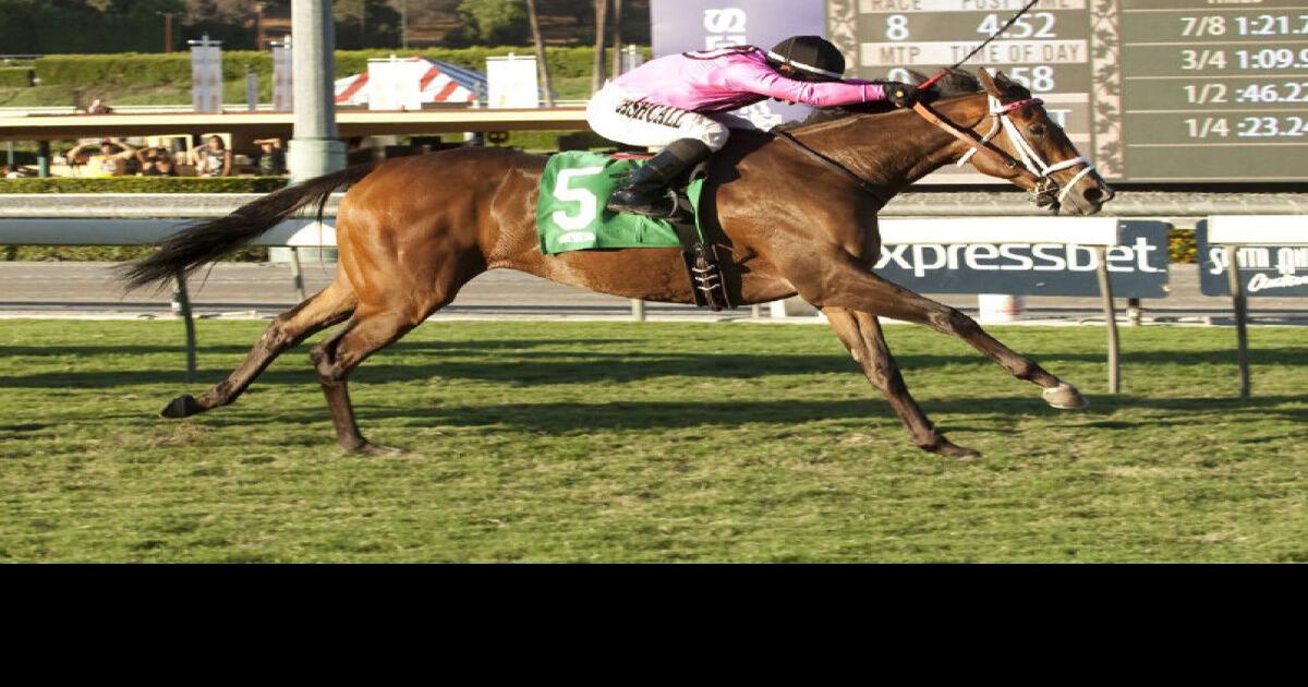 Queen’s Plate winner Lexie Lou could challenge California Chrome