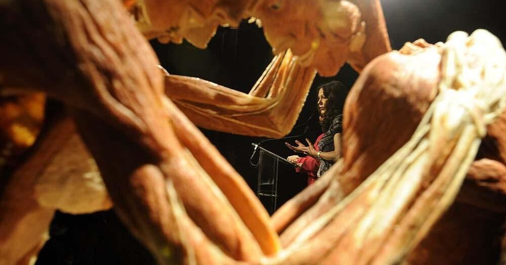 Rabbi blasts cadaver display