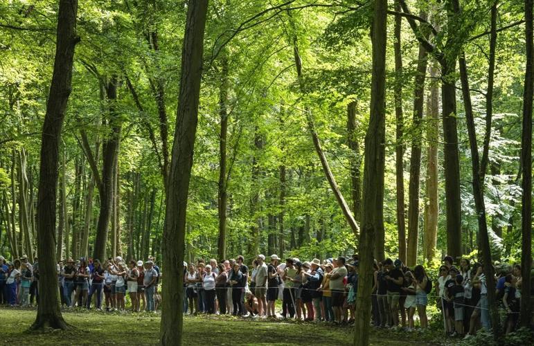 Olympic riders get a memorable gallop in the sumptuous-looking ...