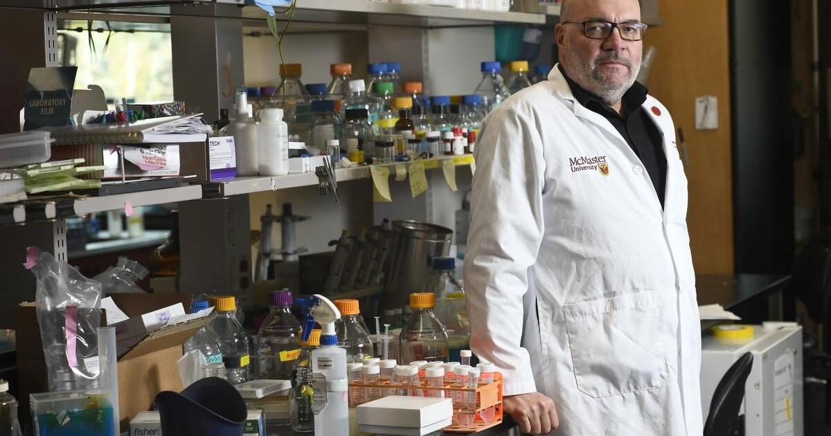 What 4 Canadian scientists are doing about the next pandemic