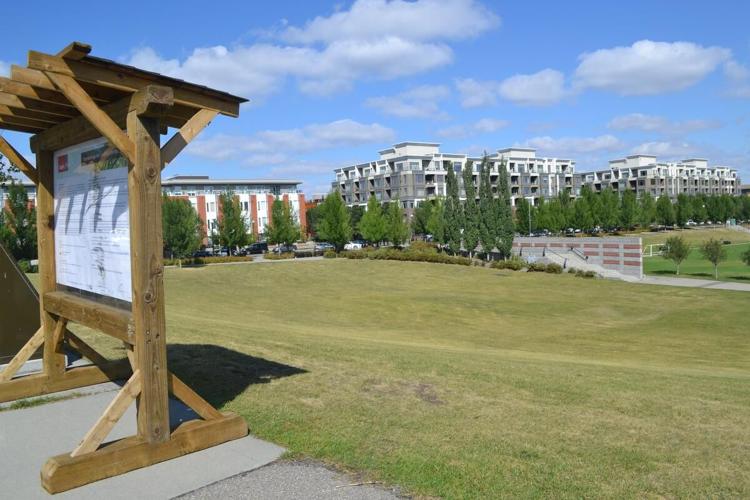 Calgary exploring public pot spots in Inglewood, Ogden and Bridgeland