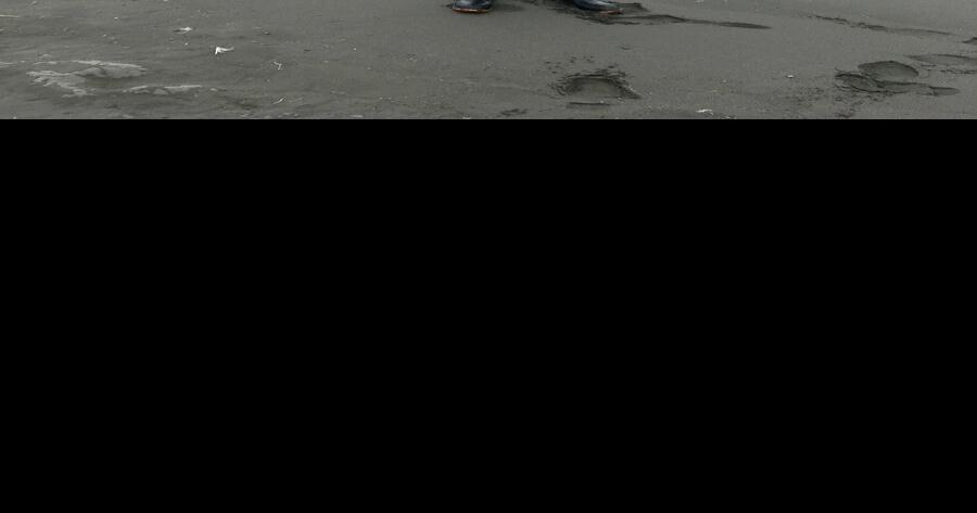 Michael Winter: The dreaded lurgy left me enjoying COVID-19 isolation ...