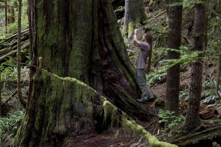 Welcome to Avatar forest in B.C.