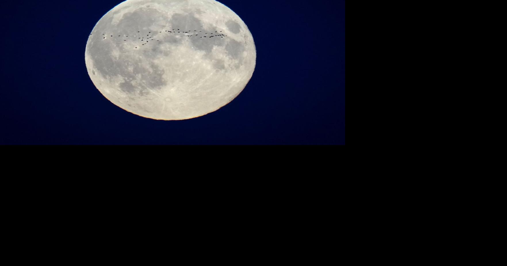 Supermoon 2024: How to watch the Beaver Moon from Toronto