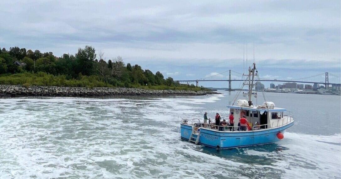 Planetary Technologies looks to the sea to change climate