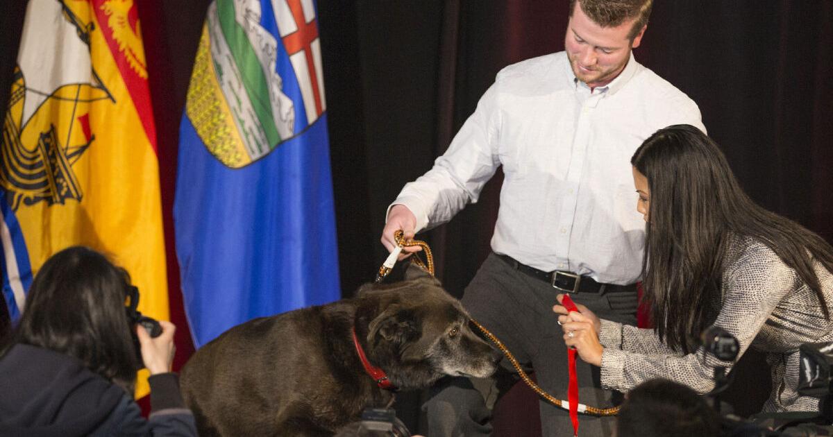 Five brave animals inducted into Purina Animal Hall of Fame