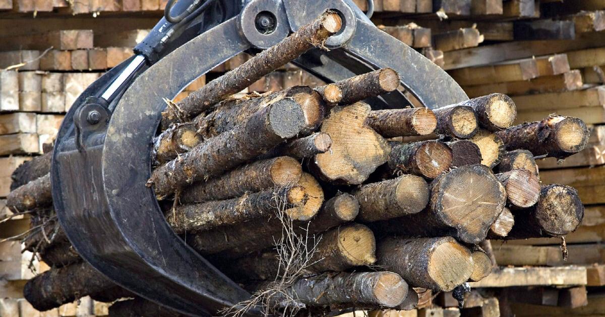 U.S. lumber group files petition against Canadian softwood producers
