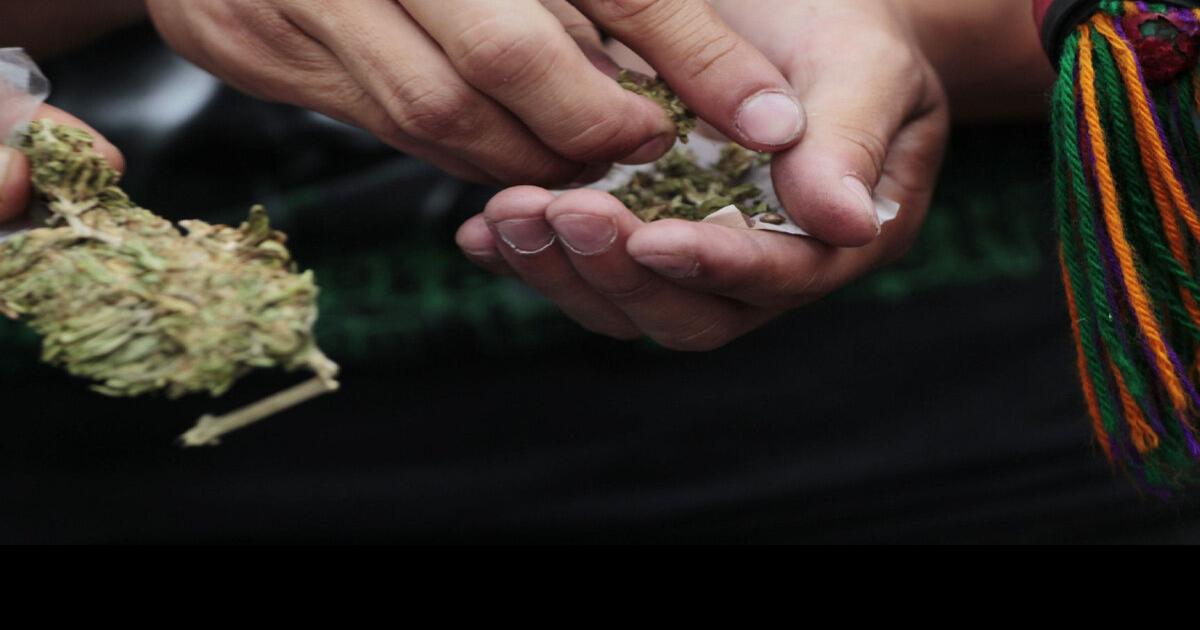 Marijuana relieves muscles tightness, pain of multiple sclerosis: Study