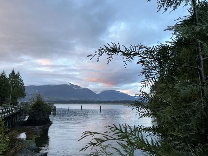Visit Port Renfrew, B.C., the tall trees capital of Canada