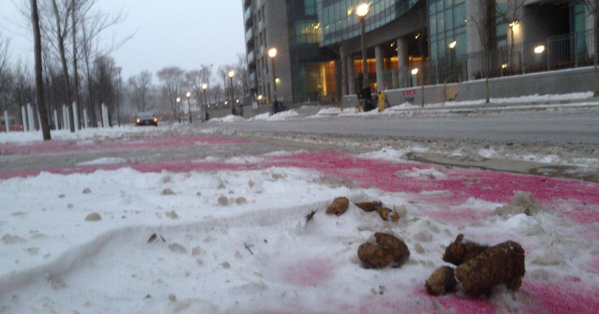 Waterloo stoops to turn dog poop into energy, fertilizer