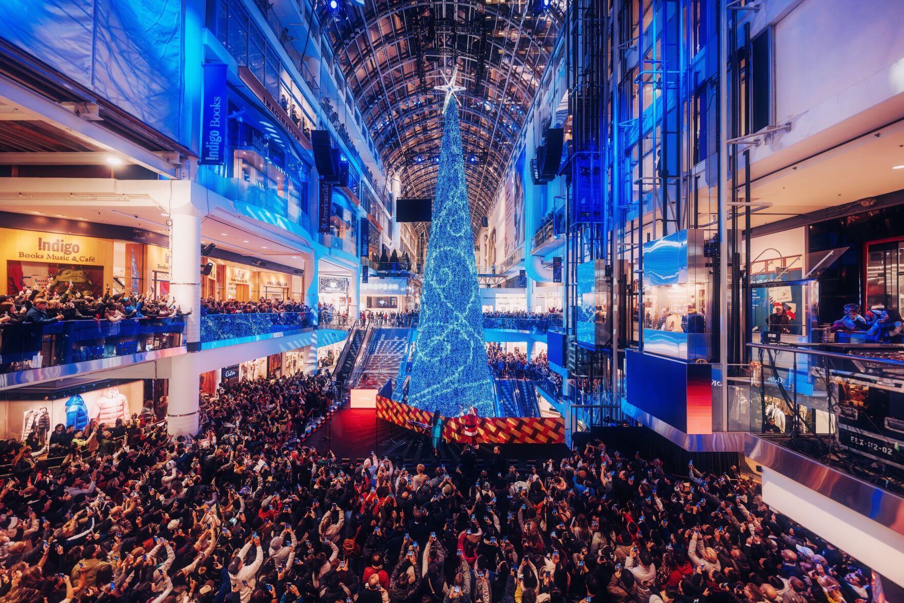 11 of the best Toronto Christmas light displays