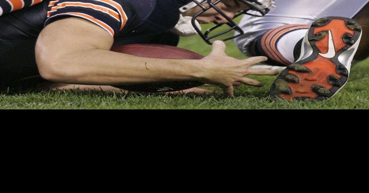 NFL: Washington Redskins sign quarterbacks Rex Grossman, Pat White