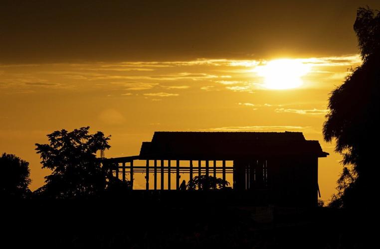 Photos of the giant rats leading land mine detection efforts in Cambodia