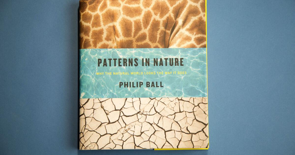 Patterns in Nature explores world's chaotic beauty