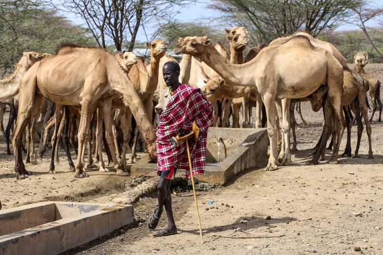 Photos show hunger and water scarcity as drought grips northern Kenya